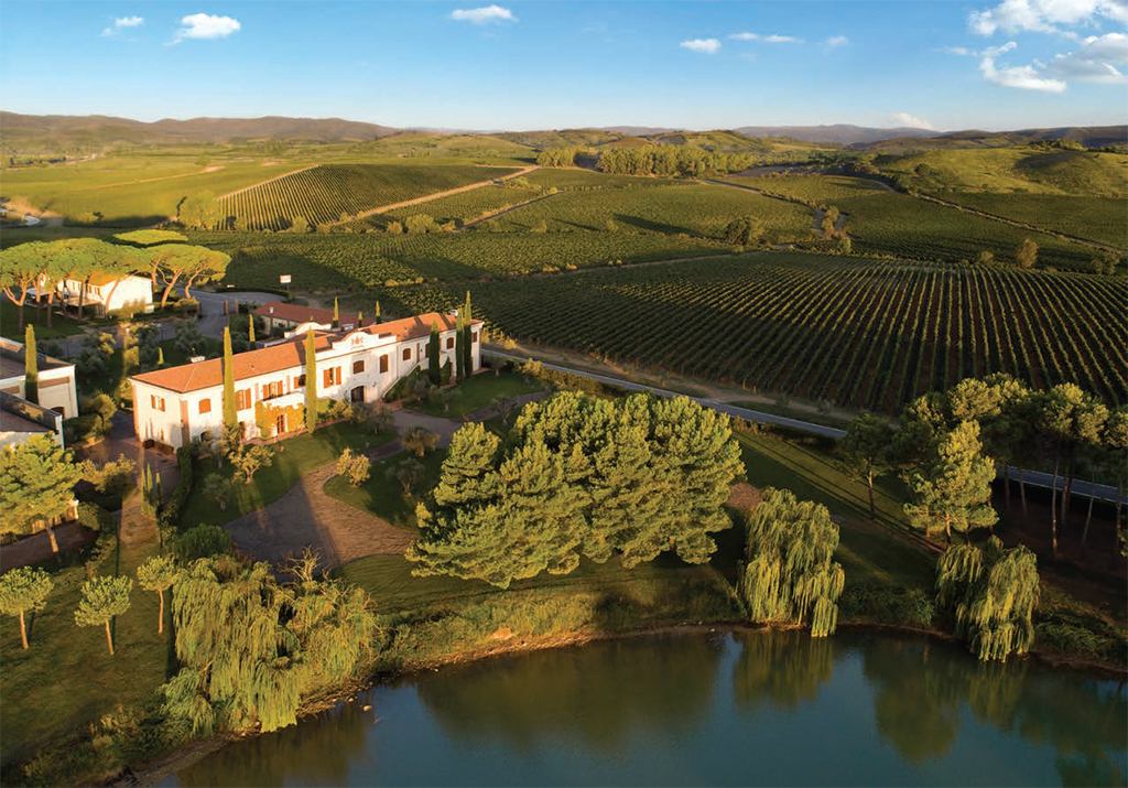 Vino, campagna e ospitalità: il tris perfetto e vincente di Rocca di ...